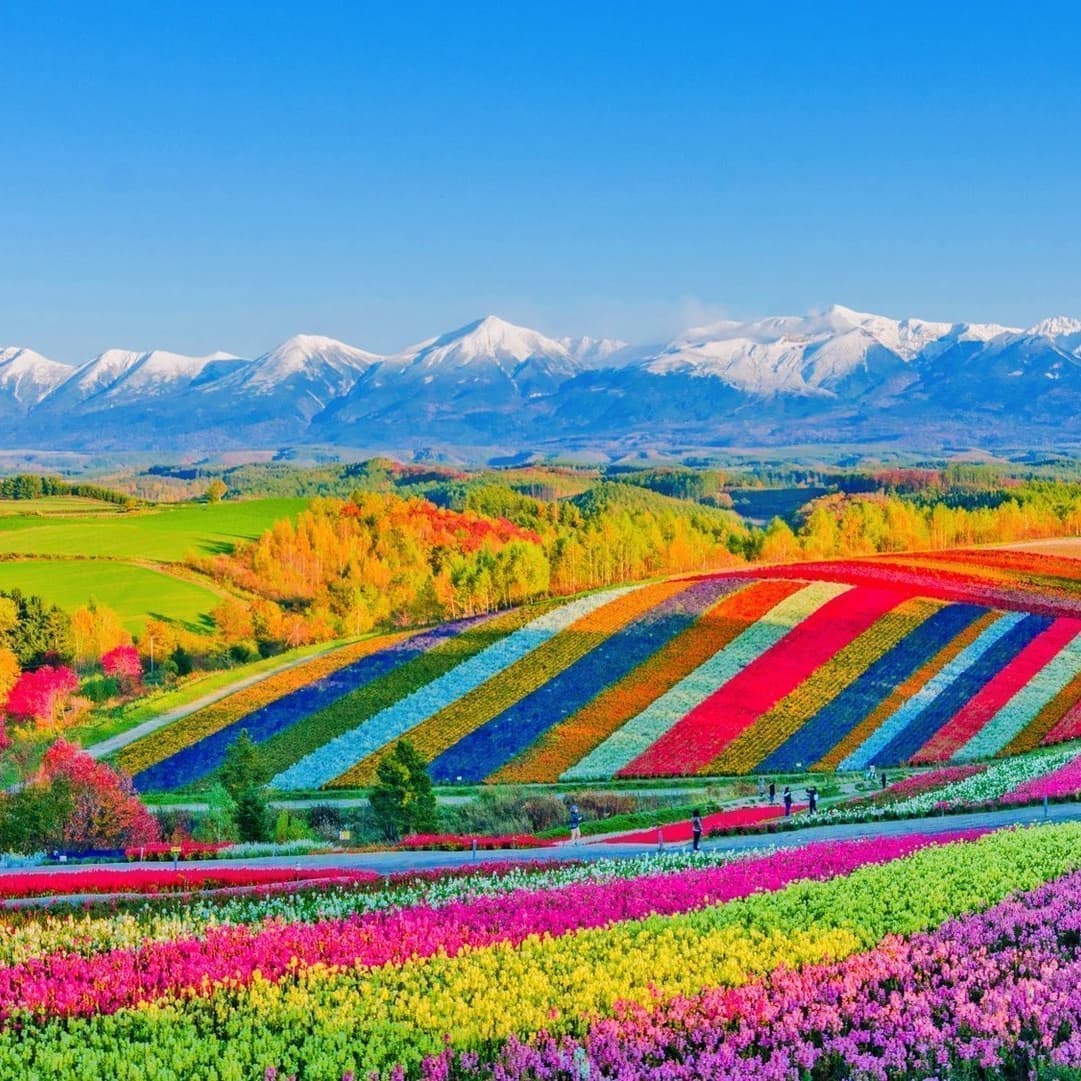 北海道旅行・北海道ツアーの格安旅行情報サイト